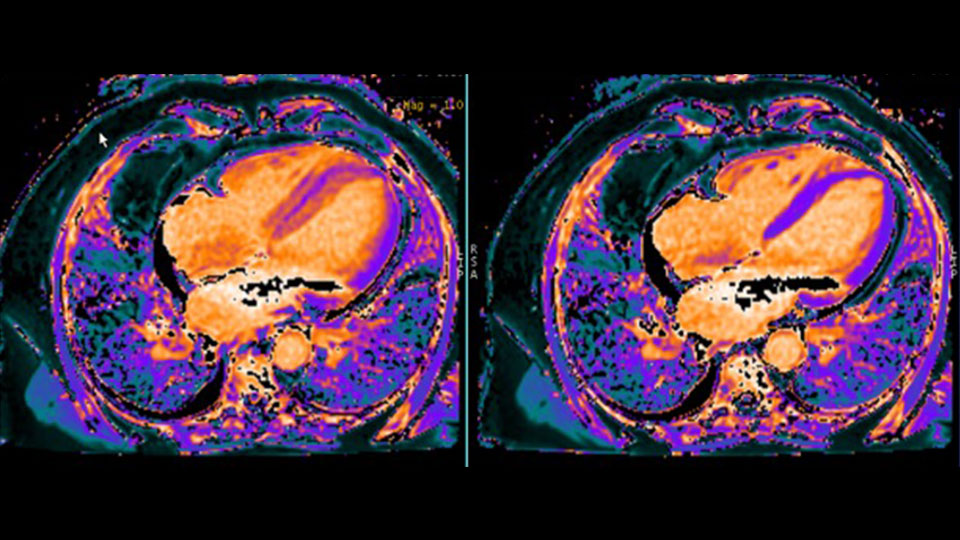 GE HealthCare Events Center